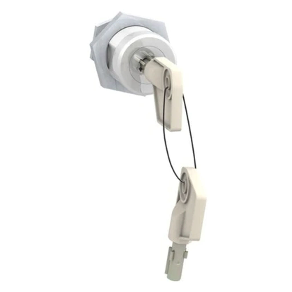 Buy Schneider Compact NSX Profalux Keylock (1 Lock + 1 Key Set) Of ...