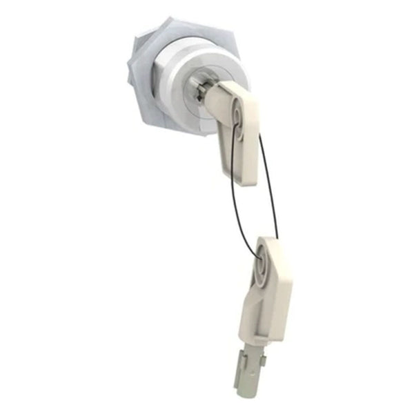 Buy Schneider Compact NSX Profalux Keylock (1 Lock + 1 Key Set) Of ...