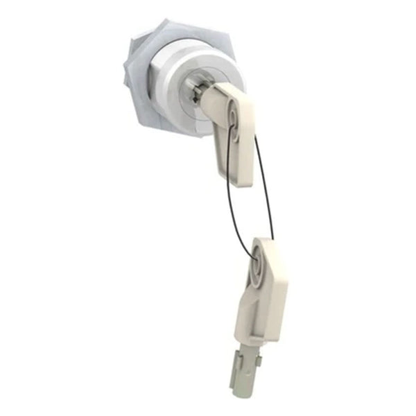 Buy Schneider EasyPact CVS Profalux Keylock (1 Lock + 1 Key Set) Of ...