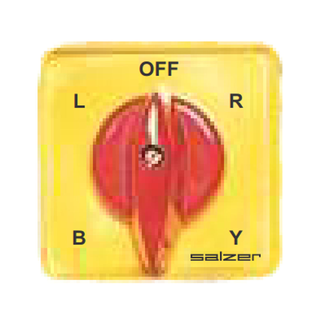 Buy L&T Ammeter Selector Switch 25A-63A Online at Bestomart ...