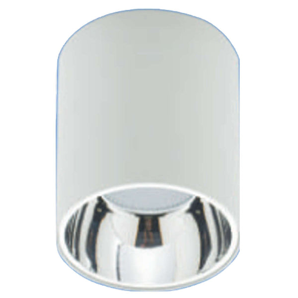 Buy Dewton Surface Cylinder LED COB Light White 6W DSCR 06 Online at ...