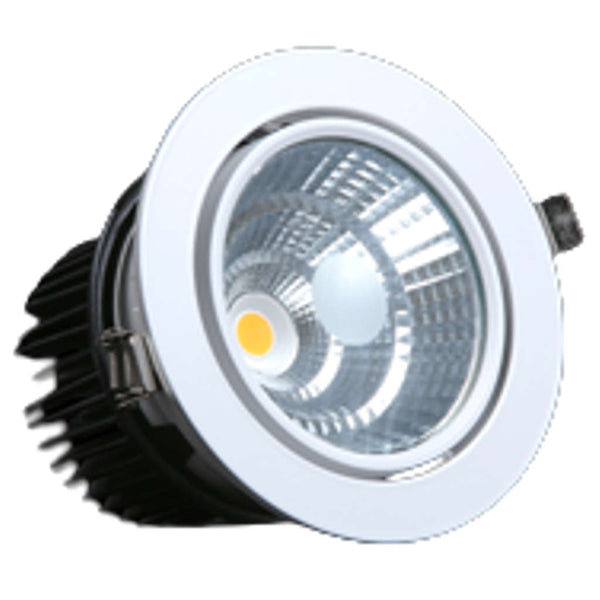 Buy Dewton Tiltable LED COB Light Round 30W DIT 30 Online at Bestomart ...