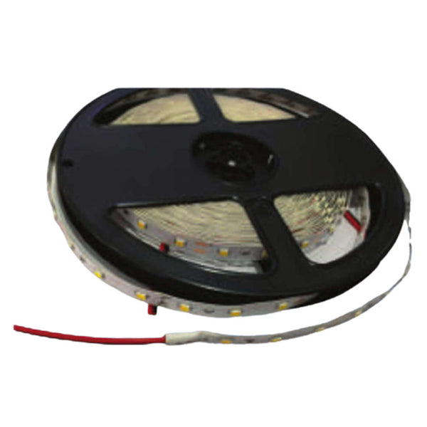 Buy Dewton 2835–120 Flexible LED Strip 12W DST 120 IP Online at ...