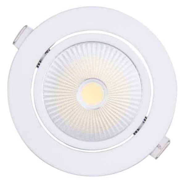 Buy Ledlum LED Indoor COB Down Light LLF-127B Online at Bestomart ...