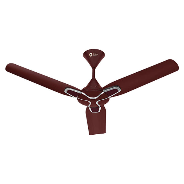 Buy Orient Electric Jazz Ceiling Fan 1200mm Mahogany Brown Online at ...