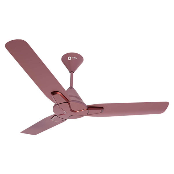 Buy Orient Jazz BLDC Ceiling Fan 1200mm Ash Rose Online at Bestomart ...